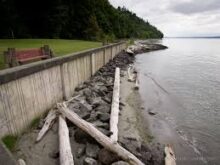 Nearshore Restoration – Mid Sound Fisheries Enhancement Group