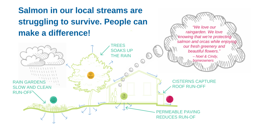 Salmon Friendly – Mid Sound Fisheries Enhancement Group